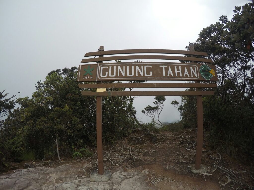 GUNUNG TAHAN – NADI Felda Jengka 1